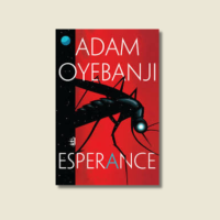 25 New Books by African Authors to Expect in 2025 | The Republic